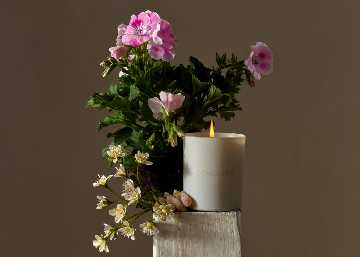 Cowshed – Natural Beauty & Skincare | Spa Treatments UK