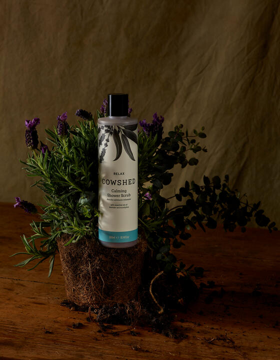 Cowshed – Natural Beauty & Skincare | Spa Treatments UK