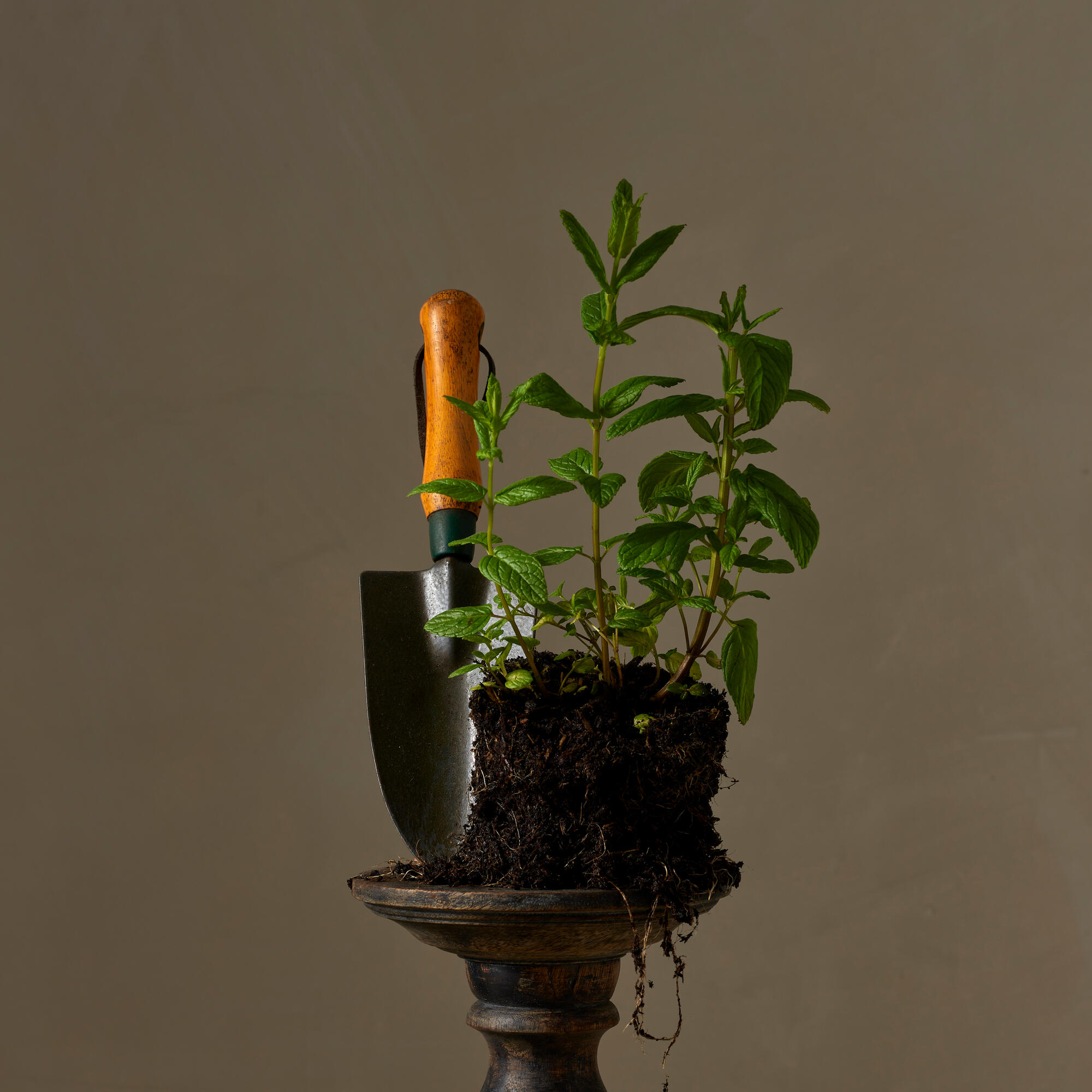 Restore Diffuser 100ml - Cowshed